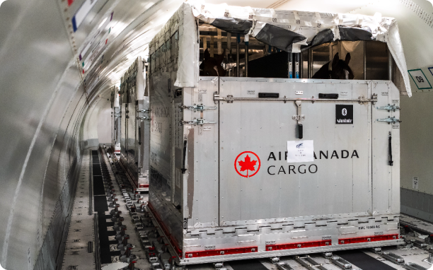 Air Canada Cargo